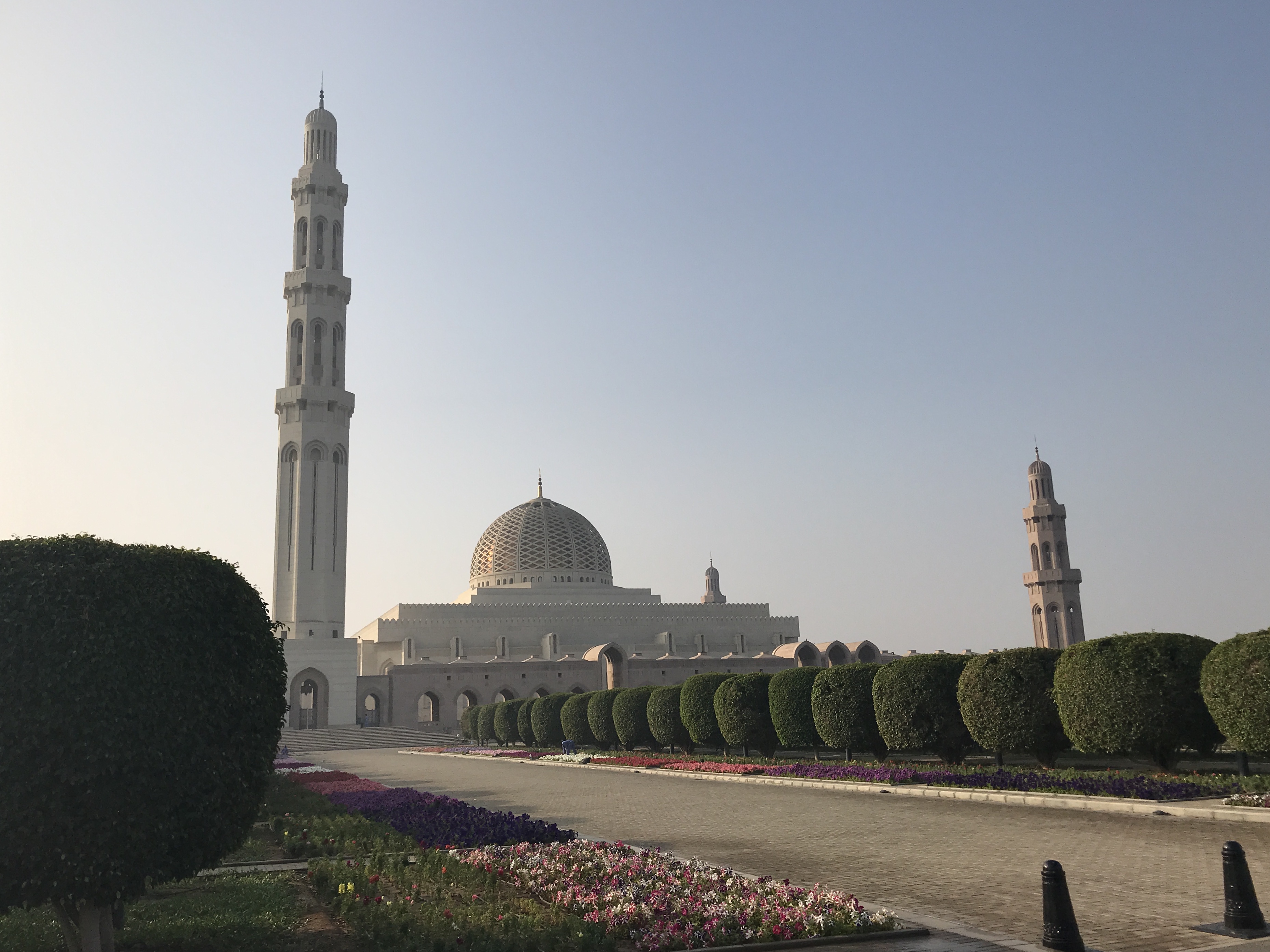 Oman, an Oasis in the Desert – PalmTreeMusings