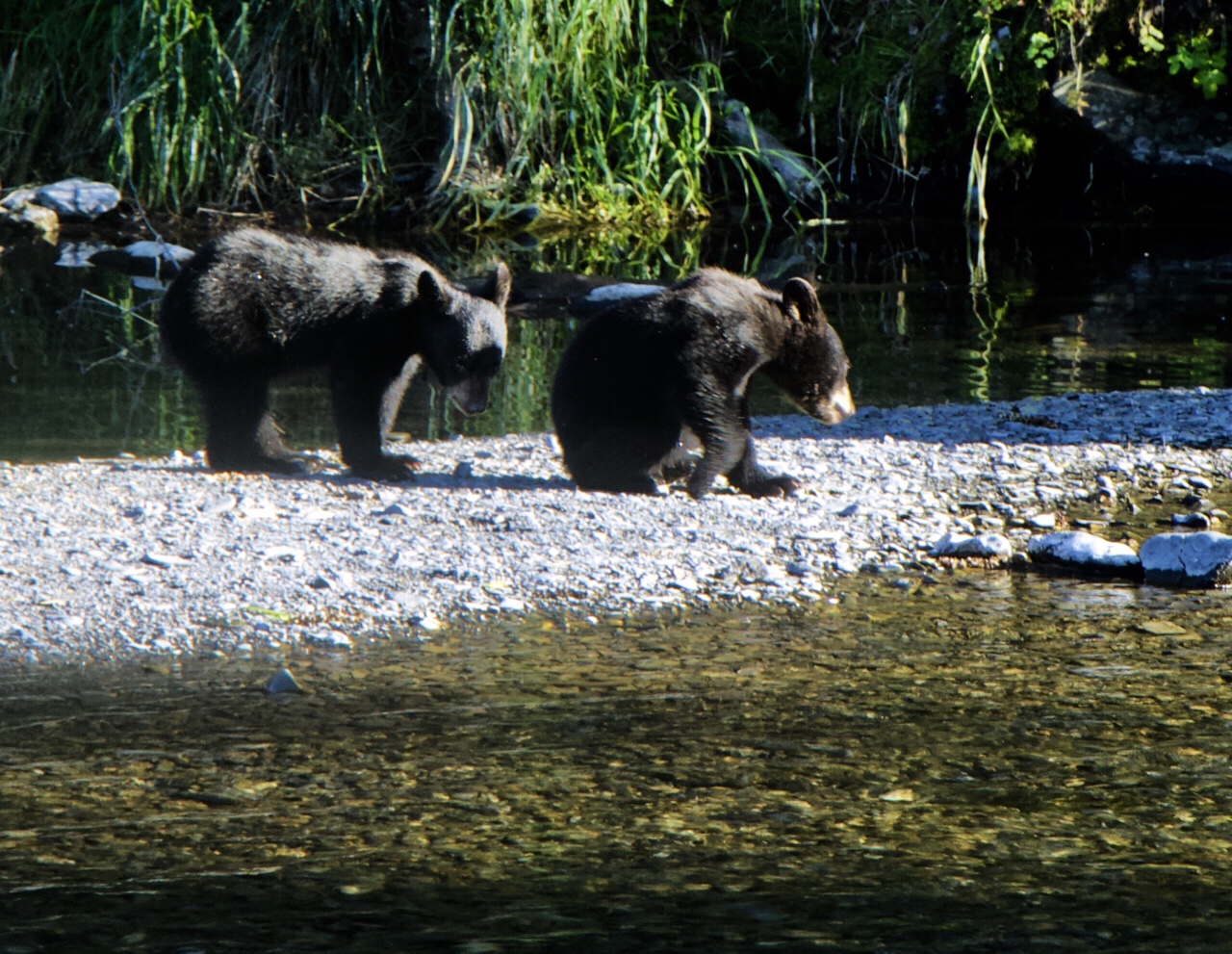 Road Trip: Alaska – PalmTreeMusings