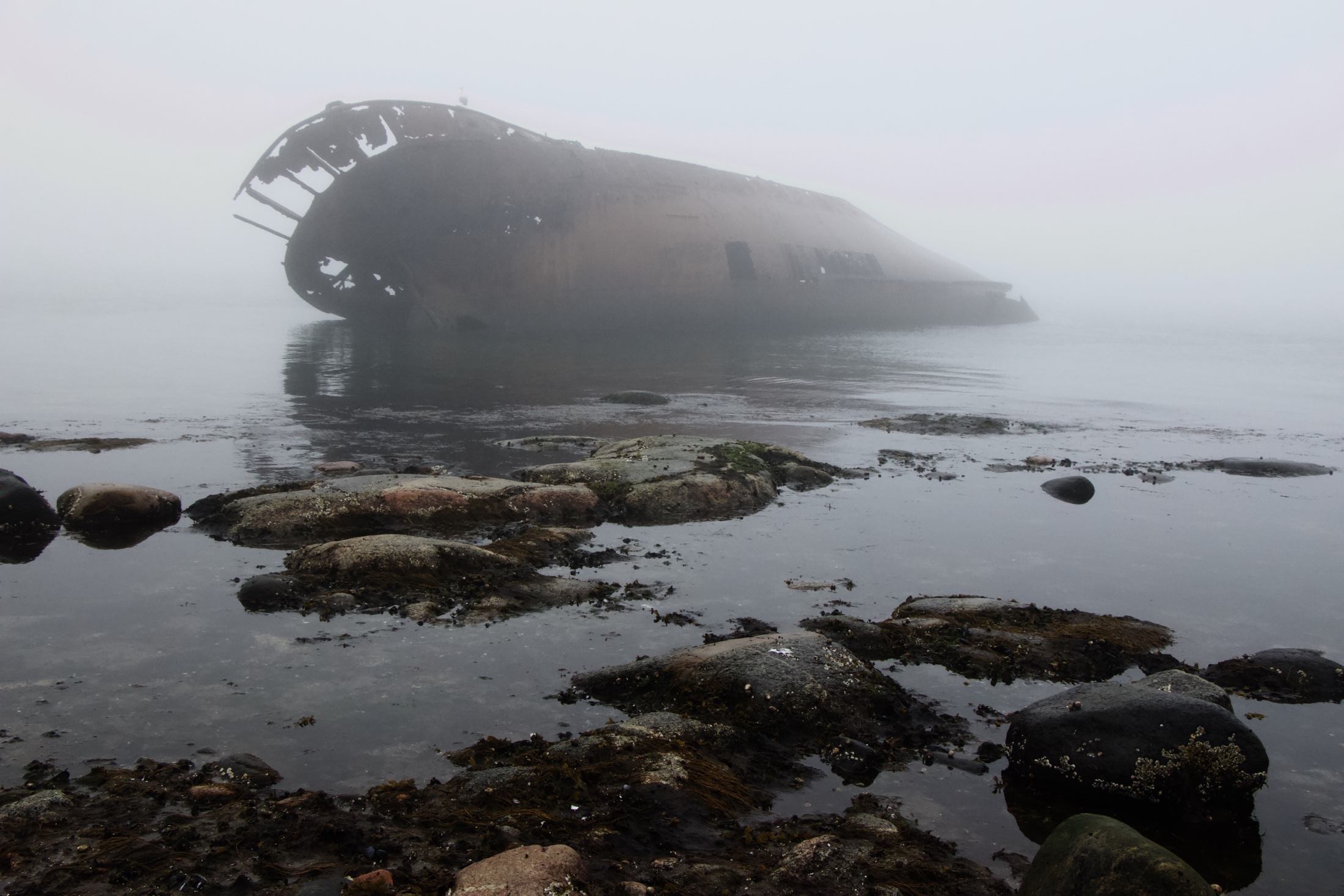Come From Away: Exploring Newfoundland and Labrador – PalmTreeMusings